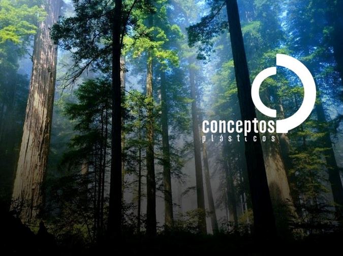 Conceptos Plásticos: the Colombian startup building homes out of ...